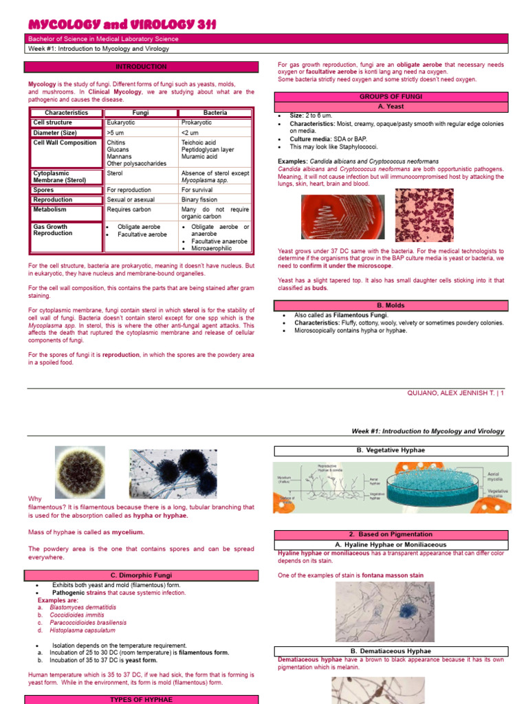 MYCV311 Introduction To MYCV | PDF | Fungus | Mycology