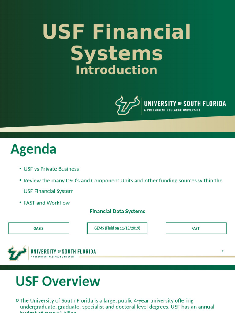 USF Financial Systems Overview and Governance | PDF | Budget | Fee