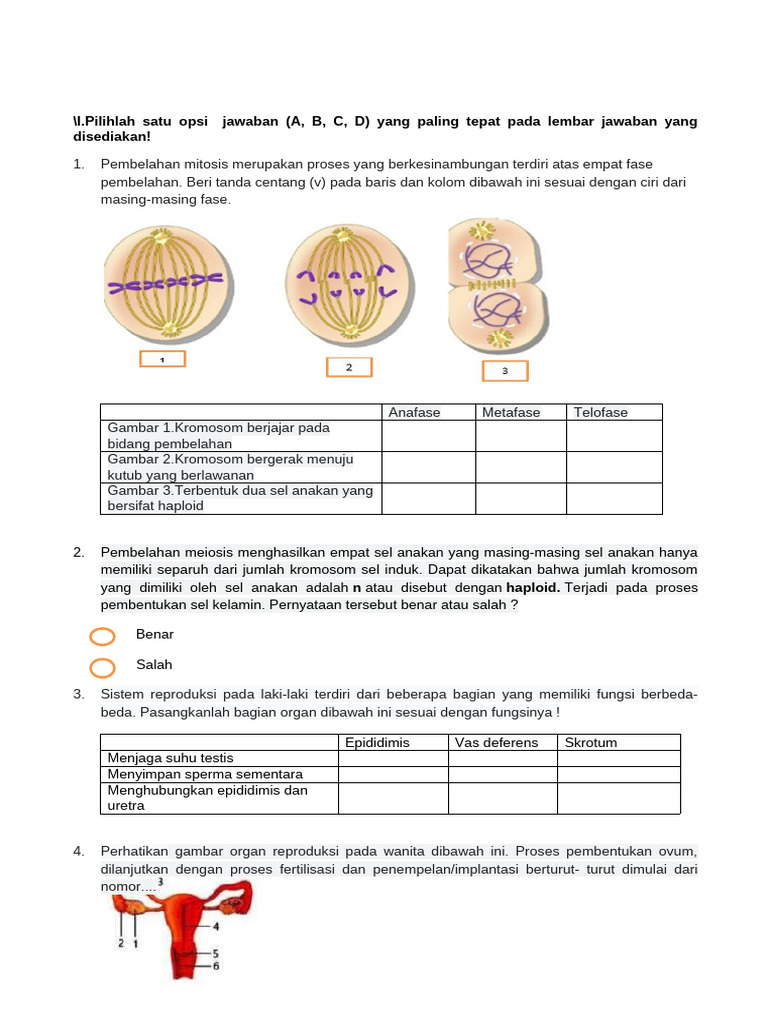 Soal Pas Ipa Kelas 9 Tahun 2024 | PDF