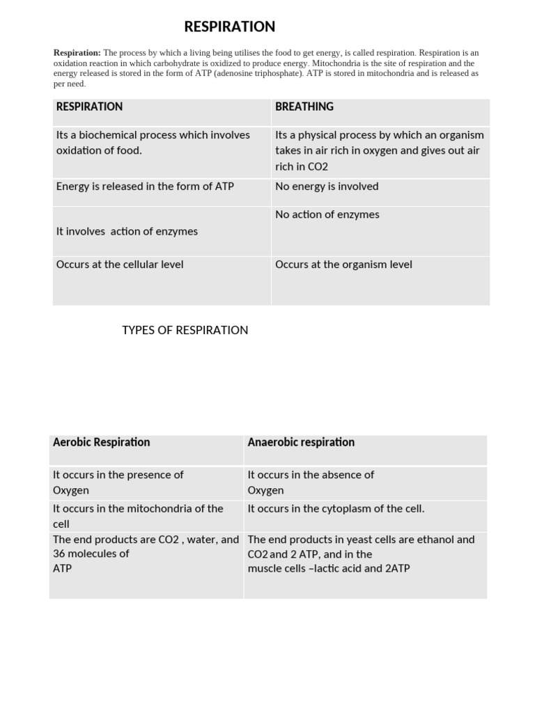 RESPIRATION notes | PDF | Cellular Respiration | Lung