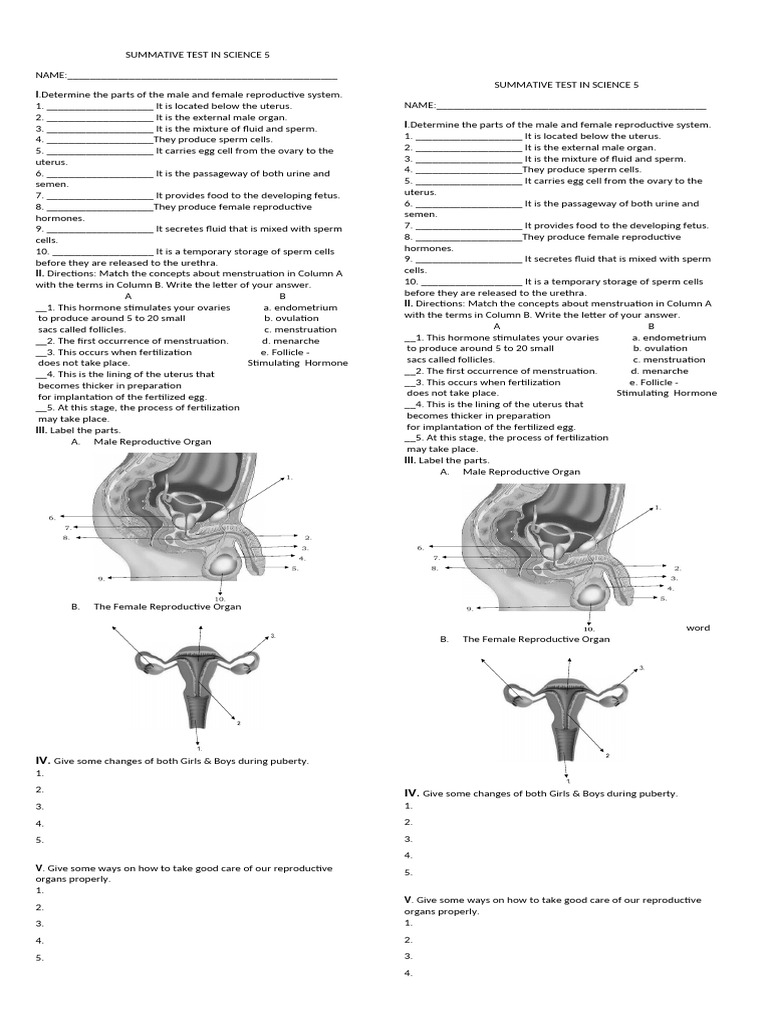 Science 5 Reproductive System Test | PDF | Menstrual Cycle ...
