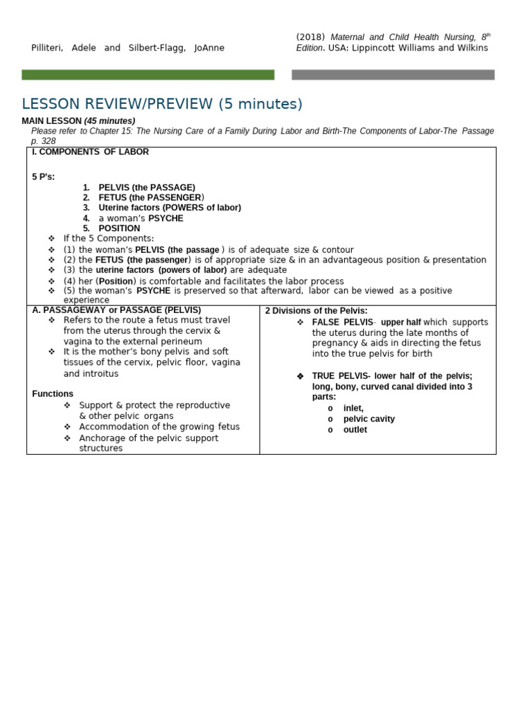 OB1-SAS-12 Maternal | PDF | Pelvis