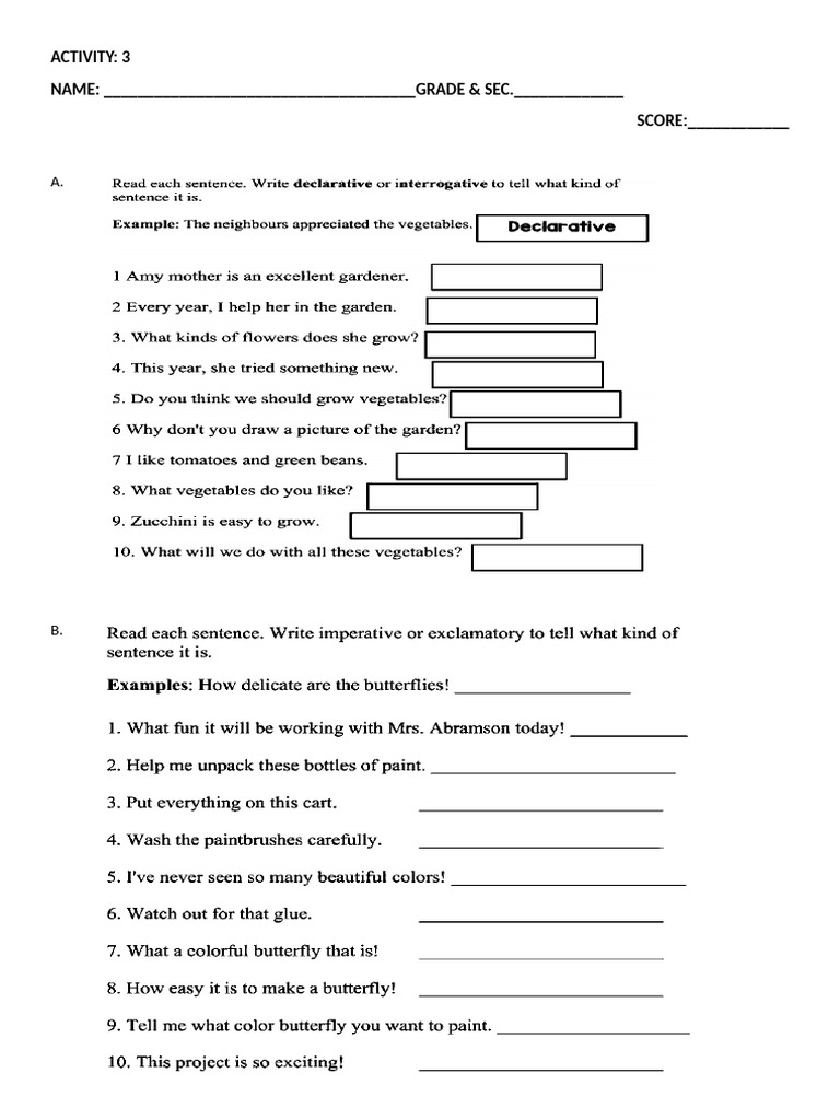 Activity 3 - Types of Sentences | PDF