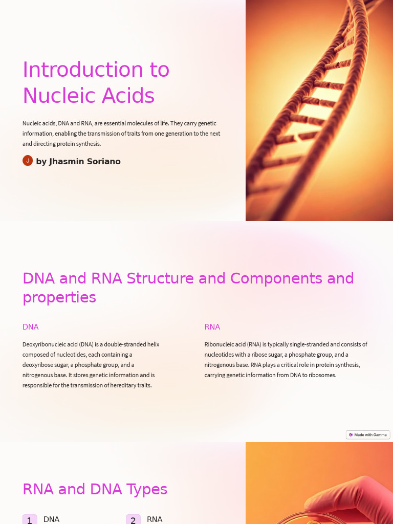 Introduction To Nucleic Acids | PDF | Nucleic Acids | Rna