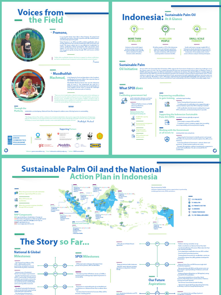 UNDP - GCP - Indonesia - at A Glance Brochure | PDF | Palm Oil ...