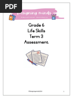 Gr 4 Nst Project | PDF | String Instruments | Musical Instruments