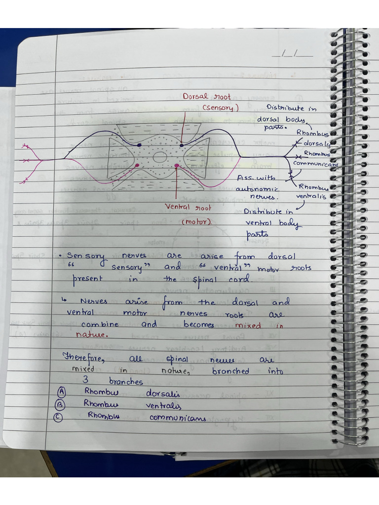 Notes 3 | PDF