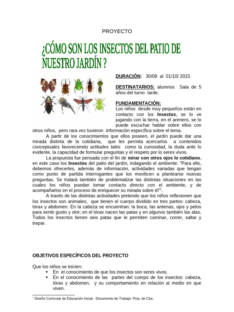 PROYECTO Insectos 2015 | PDF | Insectos