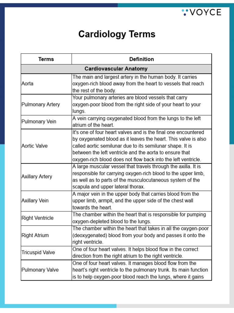 Cardiology Terms | PDF | Heart | Heart Valve