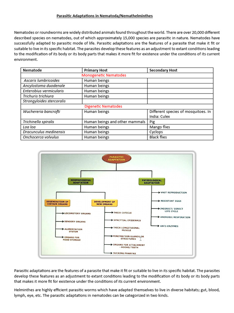 Parasitic Adaptations in Nematodes | PDF | Nematode | Epithelium