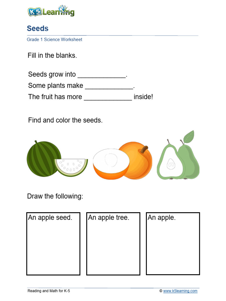 Grade 1 Seeds B | PDF | Home & Garden | Self-Improvement