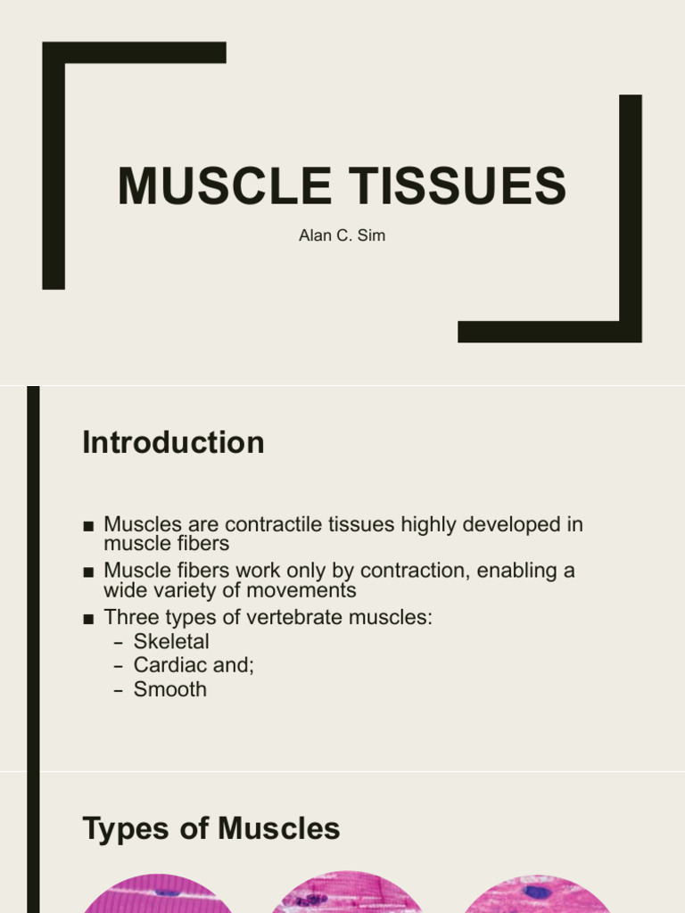 Muscle_Tissue_Sim | PDF | Muscle | Muscle Contraction