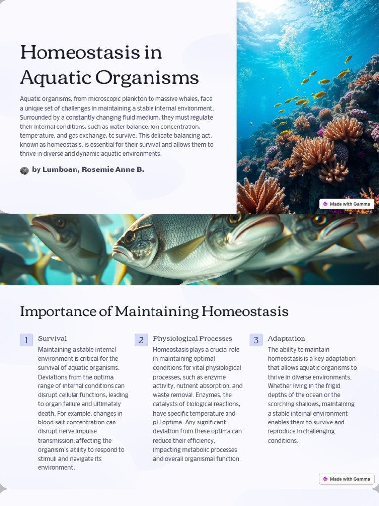 Homeostasis in Aquatic Organisms Explained | PDF | Gill | Homeostasis