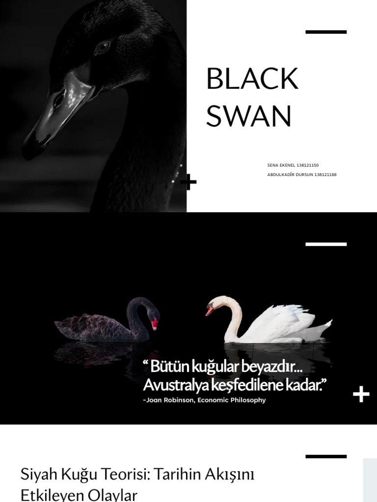 Black Swan | PDF