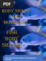 Fish Morphology: Shapes and Types | PDF | Fish | Predation