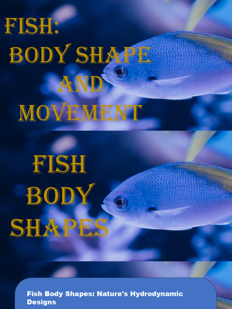 Group 6 Fish Body Shape and Movements | PDF | Fish | Aquatic Animals