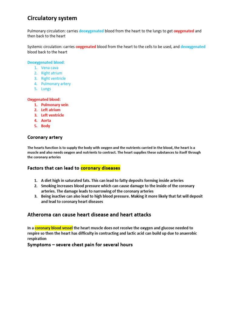 Circulatory System: Coronary Artery | PDF