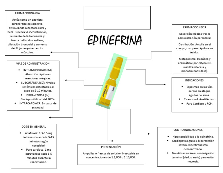 EPINEFRINA | PDF | Drogas | Medicina CLINICA