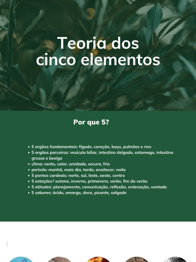 Teoriaa 5 Elementos | PDF