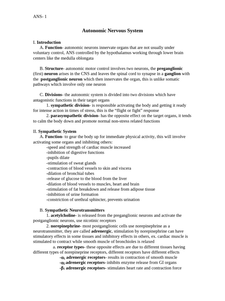 Autonomic Nervous System | PDF | Autonomic Nervous System | Acetylcholine