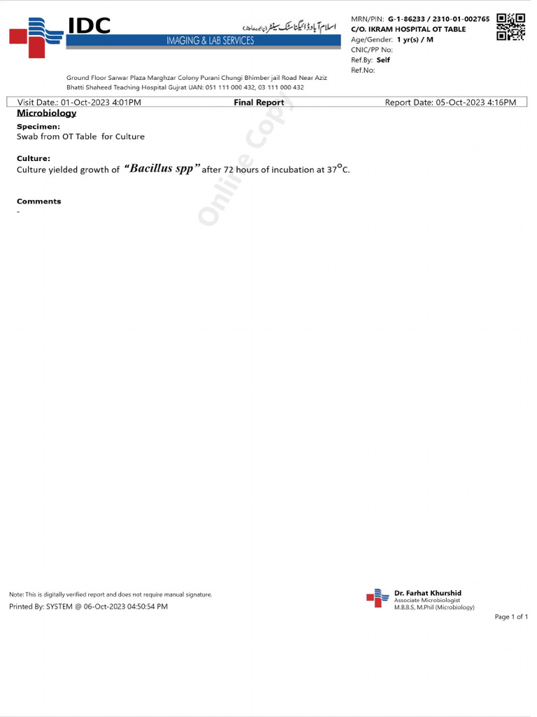 Patient Report PDF | PDF