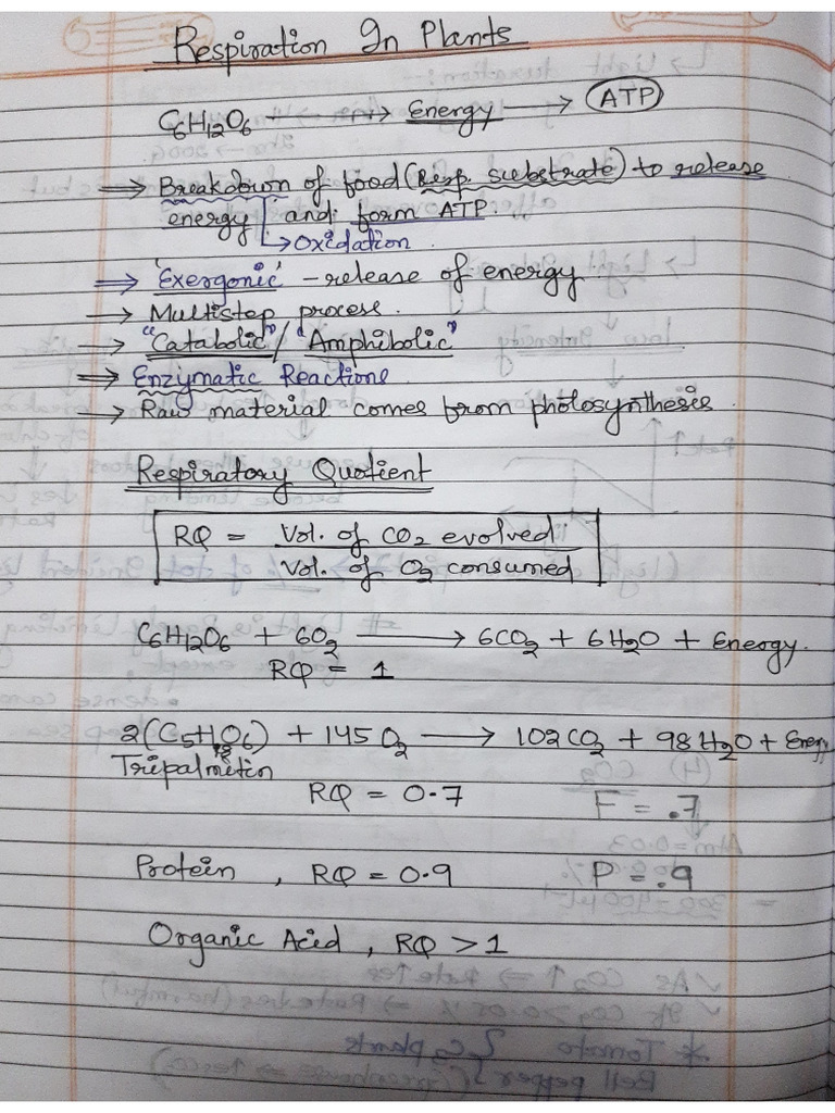 Respiration in Plants Class 11 Botany | PDF