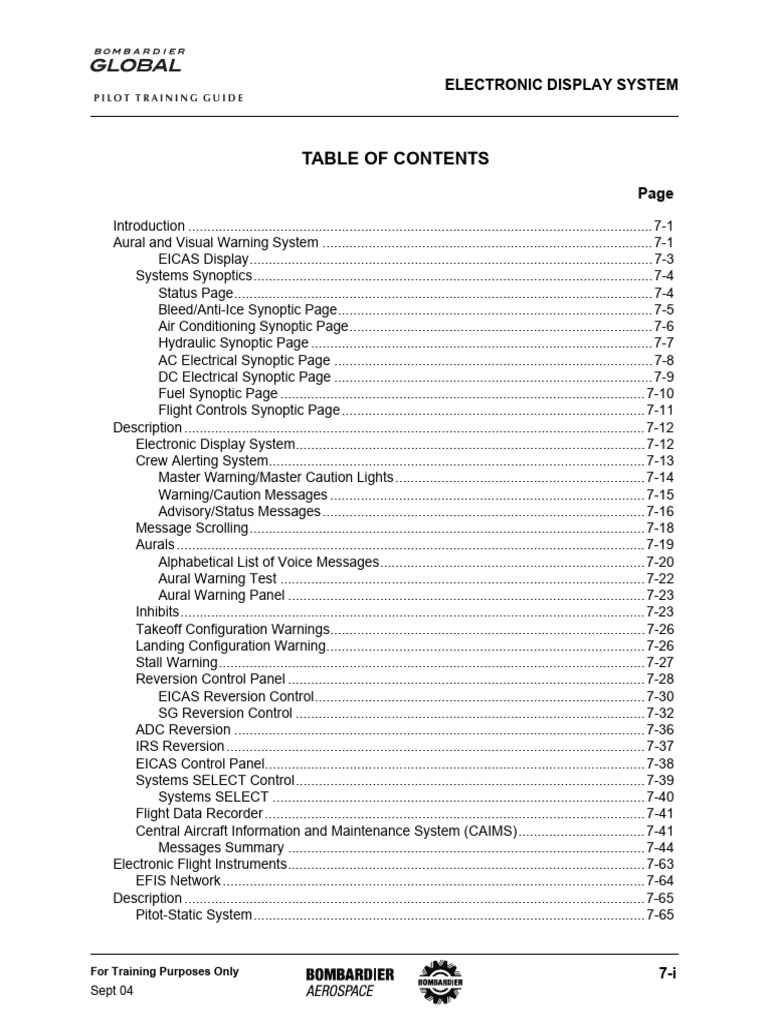 Electronic Display System | PDF | Aircraft | Aerospace