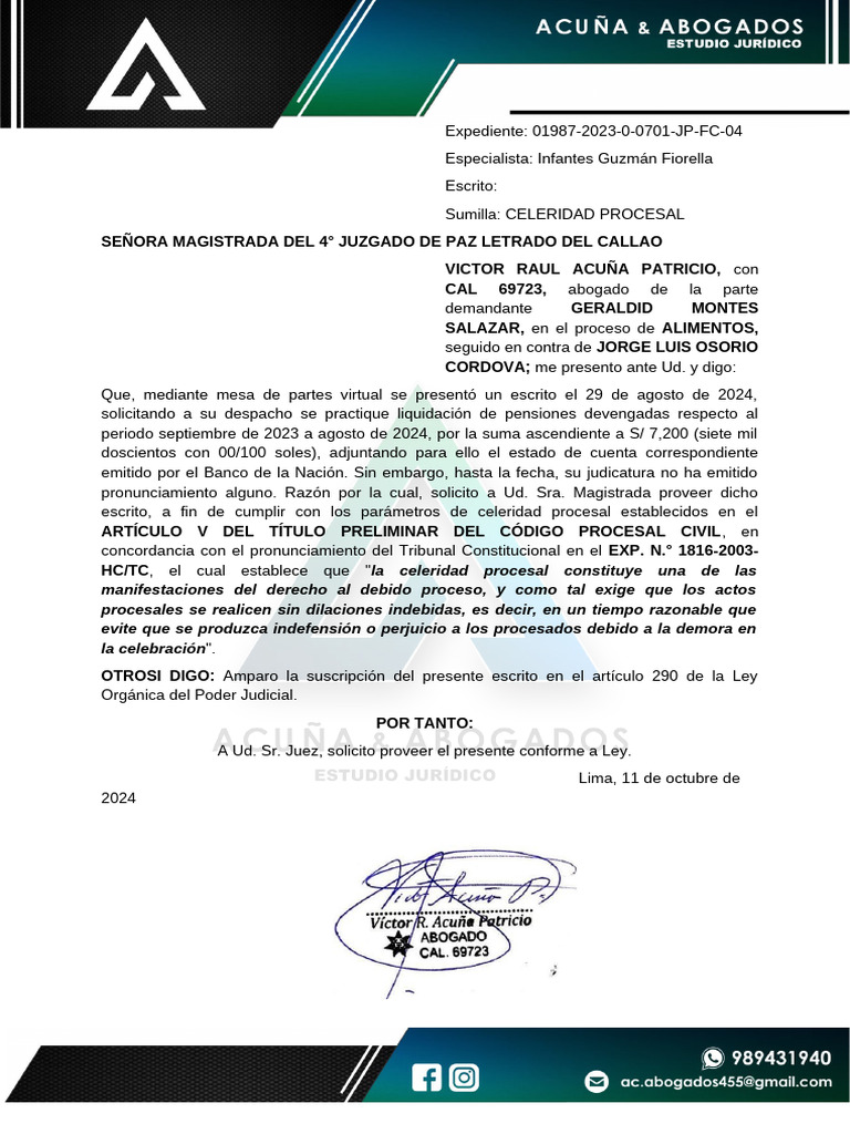 Celeridad Procesal - Geraldid | PDF | Derecho