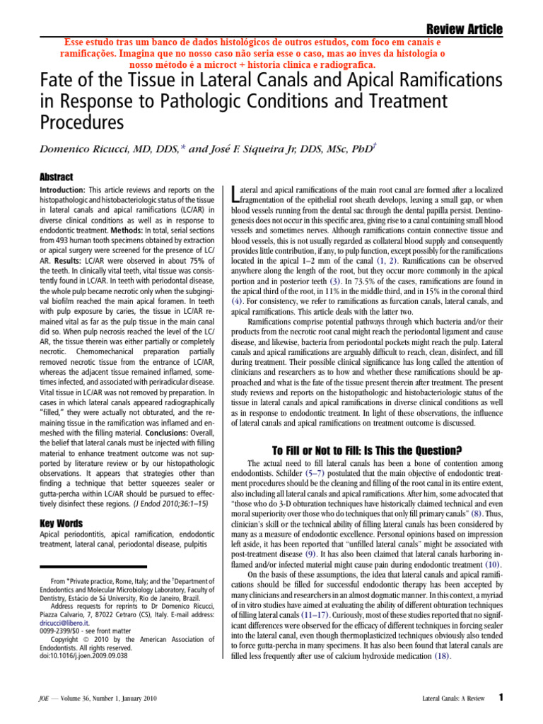 Fate of The Tissue in Lateral Canals and Apical Ramifications in ...