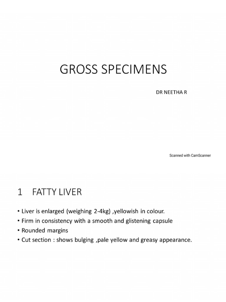 Pathology Spotters | PDF