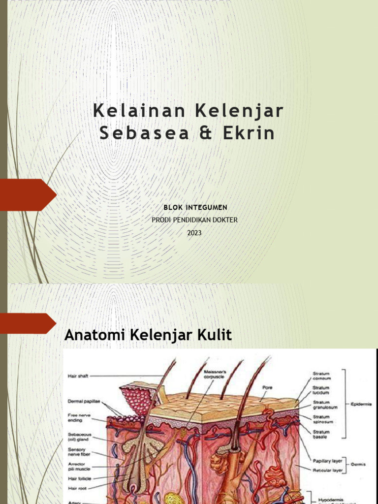 2023-Kelainan Kelenjar Sebasea Dan Ekrin-Dikonversi-Dikompresi | PDF
