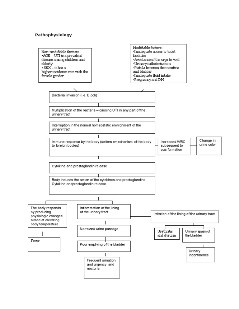 UTI Pathophysiology Overview | PDF | Wellness | Science & Mathematics
