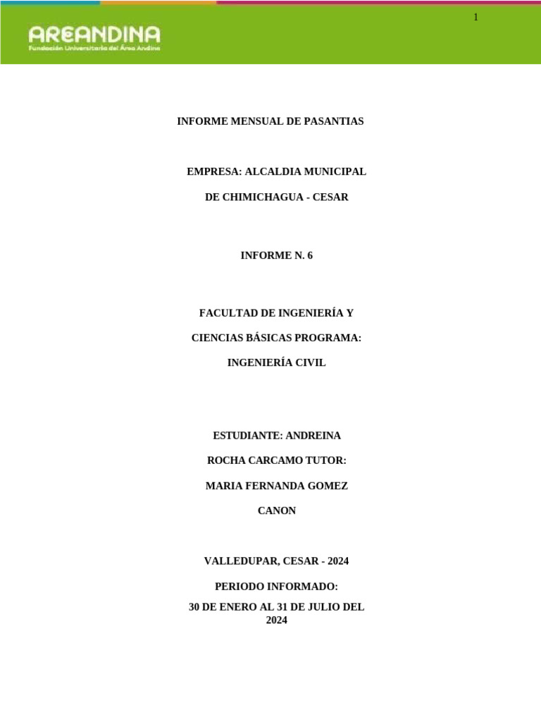 INFORME FINAL N 6 | PDF