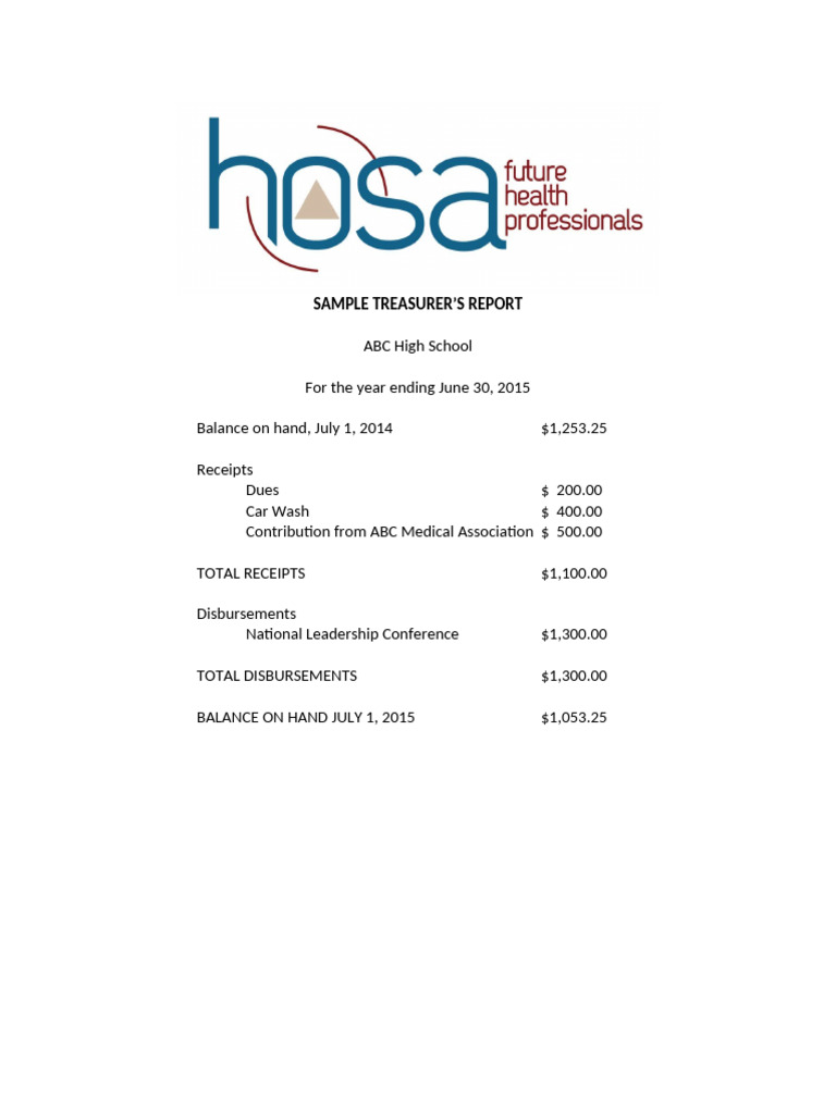 SAMPLE TREASURER Report | PDF