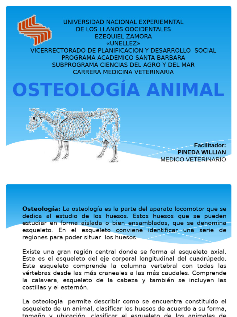 Osteologia y Artrologia | PDF | Articulación | Hueso