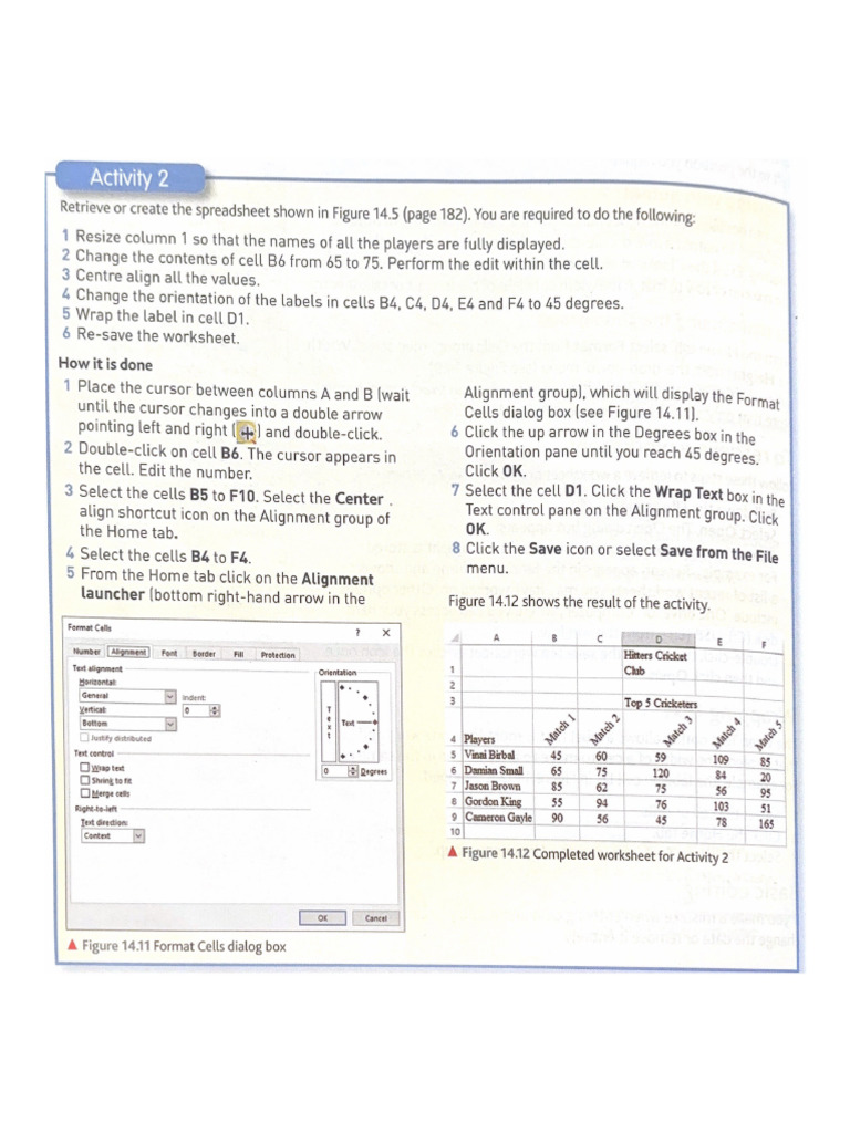 Activity 2 - Formatting Cells | PDF