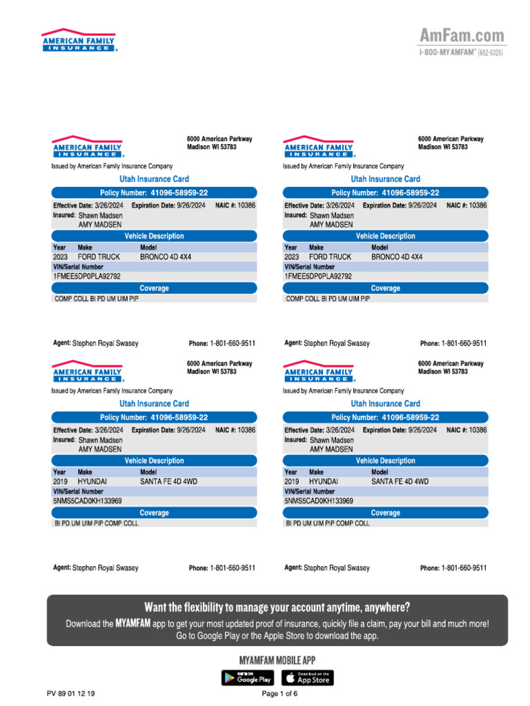 Madsen Auto Id Cards | PDF