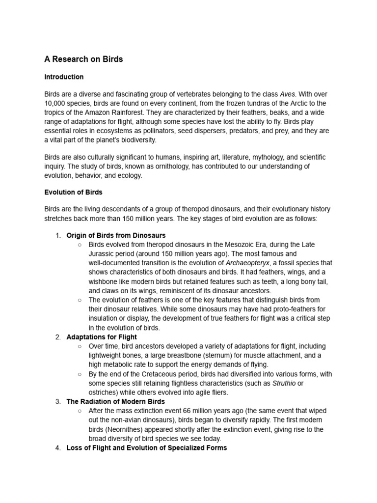 A Research On Birds | PDF | Birds | Feather