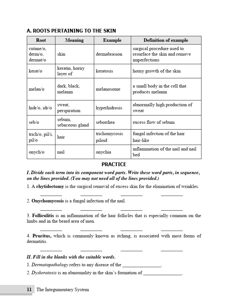 Medical Terminology 2 | PDF | Skin | Integumentary System