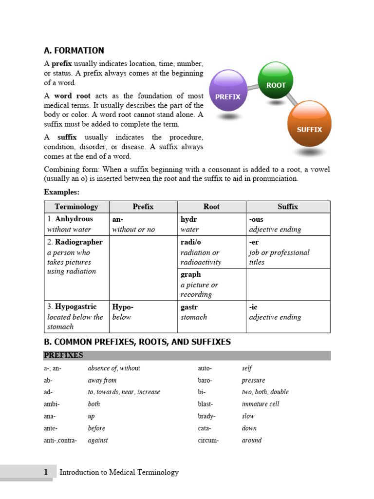 [Medical Terminology 1] | PDF | Clinical Medicine | Medical Specialties