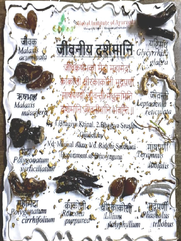 Mahakashaya Herbal Remedies Guide | PDF