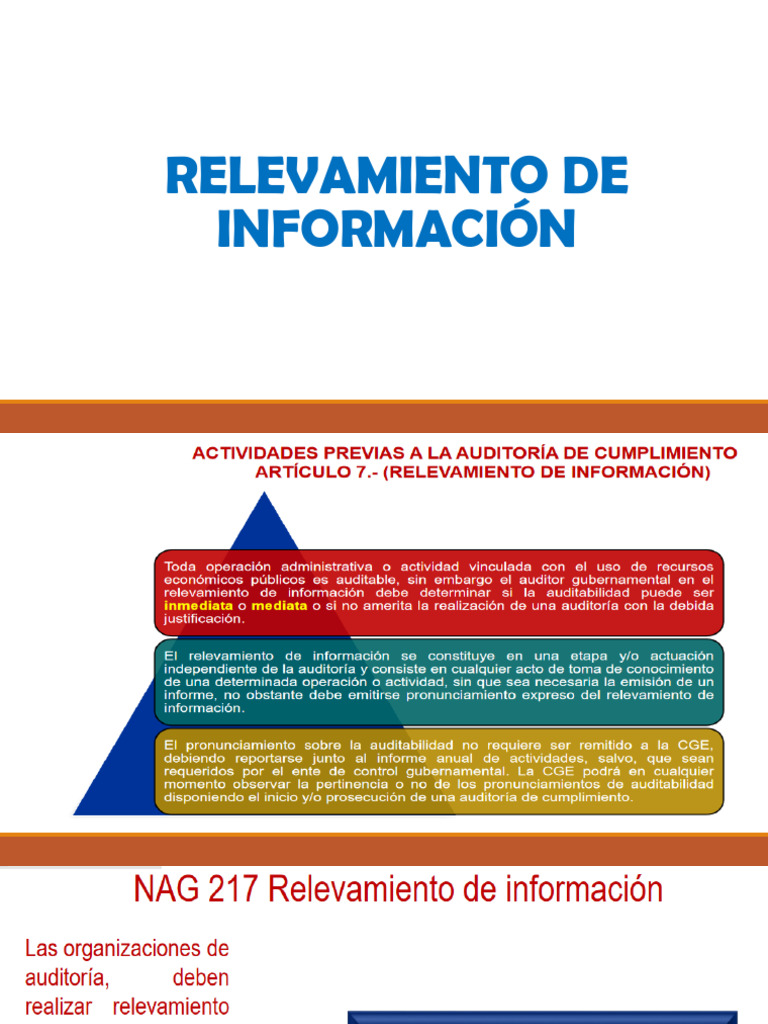 Relevamiento de Información | PDF
