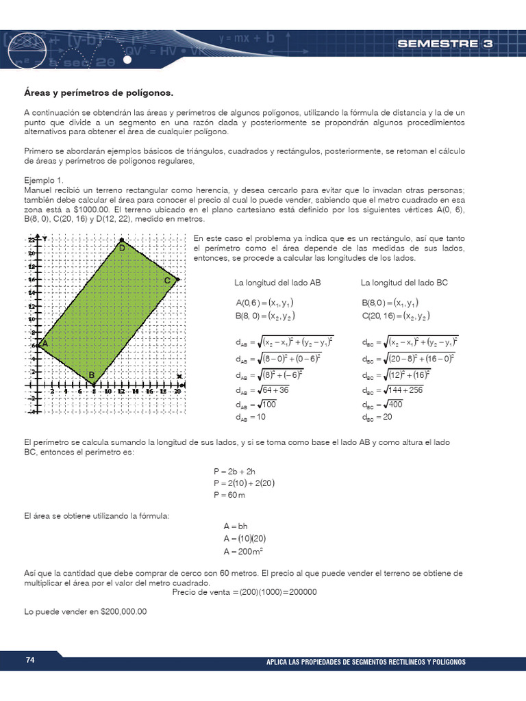 Area y Perimetros de Poligonos Por Sus Vertices | PDF