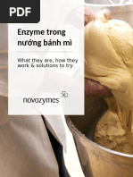 Kerry Bioscience Myverol | PDF | Vegetable Oil | Dough