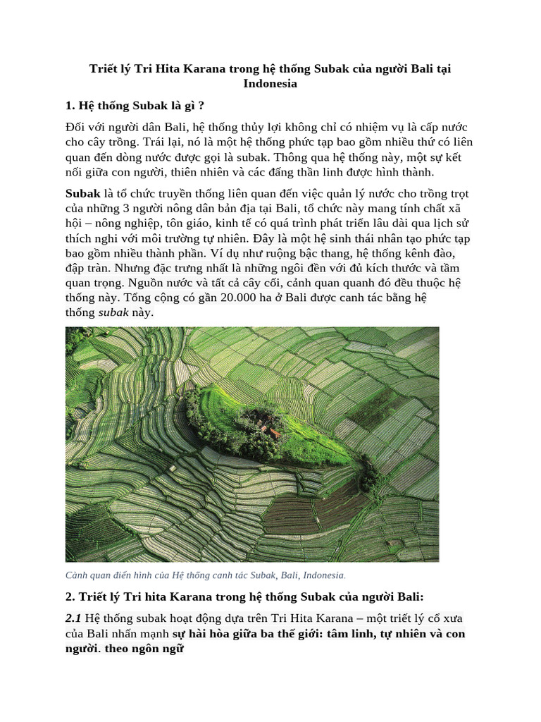 Triết lý Tri Hita Karana trong hệ thống Subak của người Bali tại Indonesia | PDF