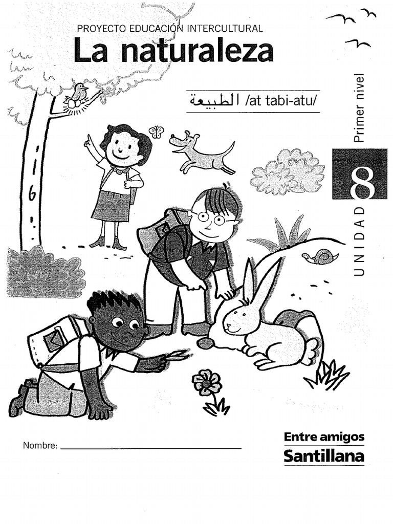 Proyecto Entre Amigos. Apoyo en Árabe - Santillana Unidad 8 | PDF