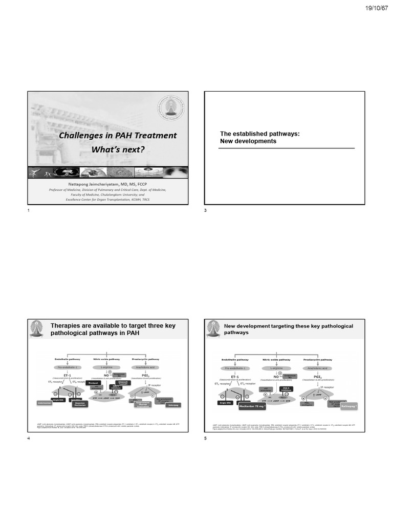 Advances in PAH Treatment Strategies | PDF | Transforming Growth Factor ...