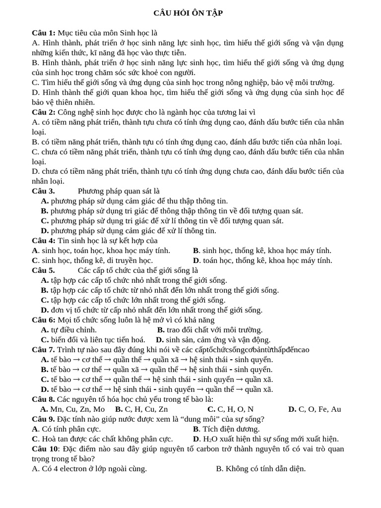 TN ÔN TẬP GK1 | PDF