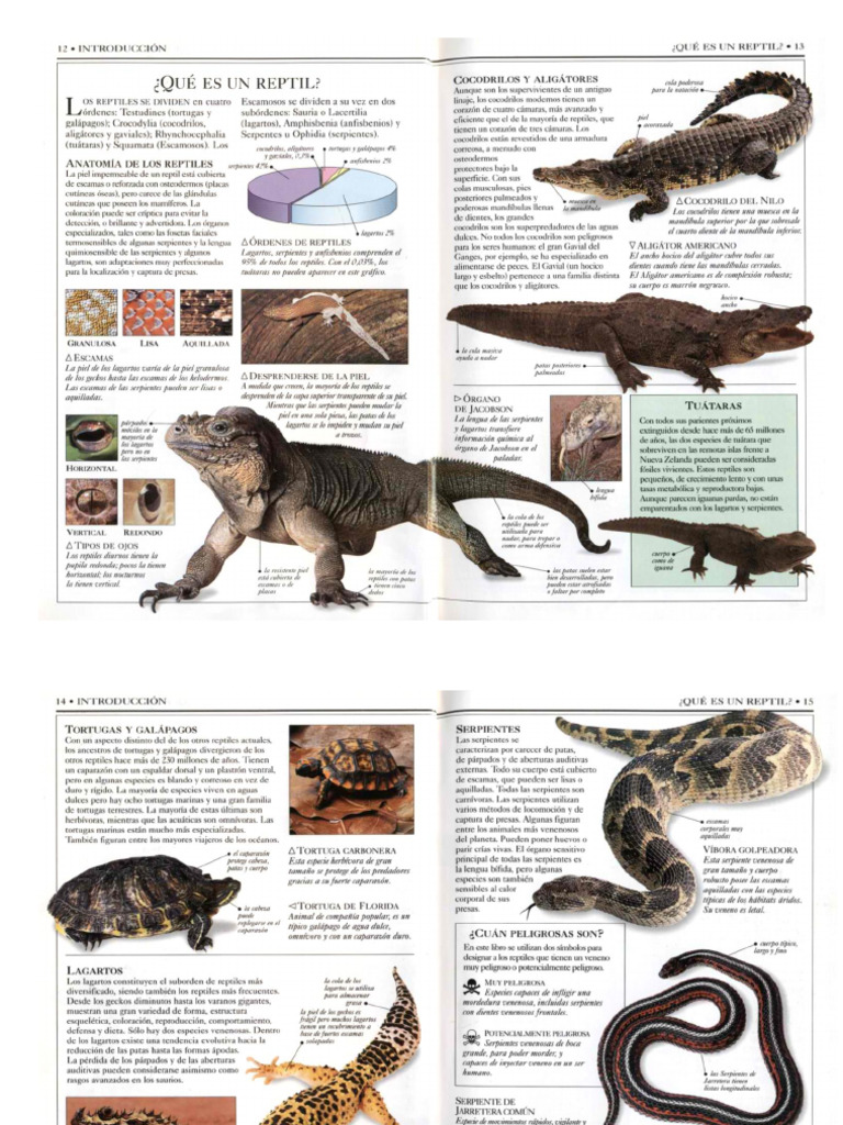 Lectura Reptiles | PDF