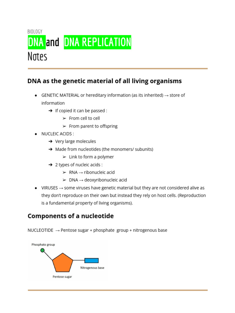 DNA and DNA replication | PDF | Dna | Dna Replication